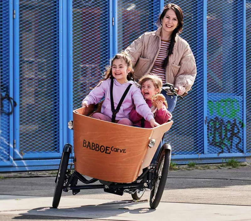 Babboe Carve Mountain Electric Cargo Bike With 500Wh Battery